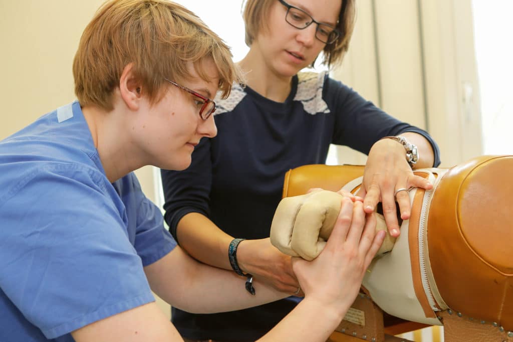 Hebammenkunde (B.Sc.) | Universität zu Lübeck | ME2BE